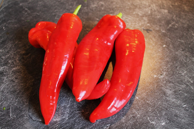 Happy Cooking: Tuna stuffed sweet long red peppers