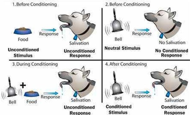 Motivação: Condicionamento Clássico