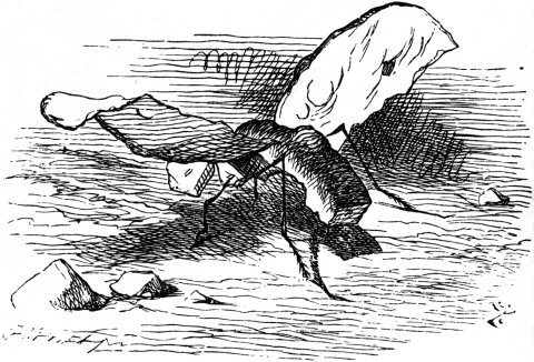 Through The Illustrated Looking Glass: Chapter 3 ~ Looking-Glass Insects