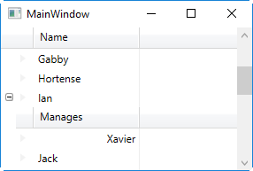 WPF Thoughts: Overcoming XamDataGrid scrolling performance problems