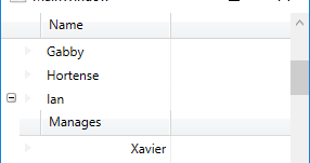 WPF Thoughts: Overcoming XamDataGrid scrolling performance problems
