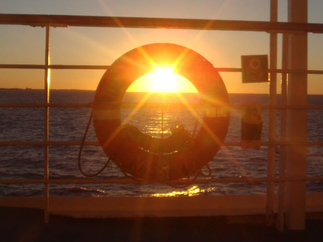 “One more contract and I’m done” - The Sharonicles