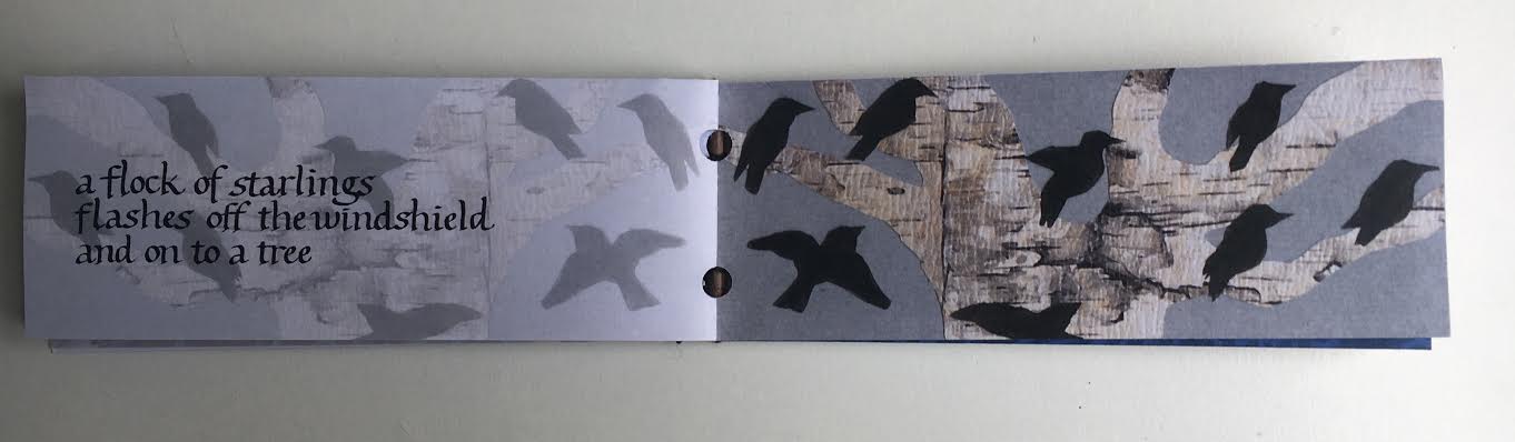 susangaylord.com: Poetry Month-Walking Haiku by Ann McCrea