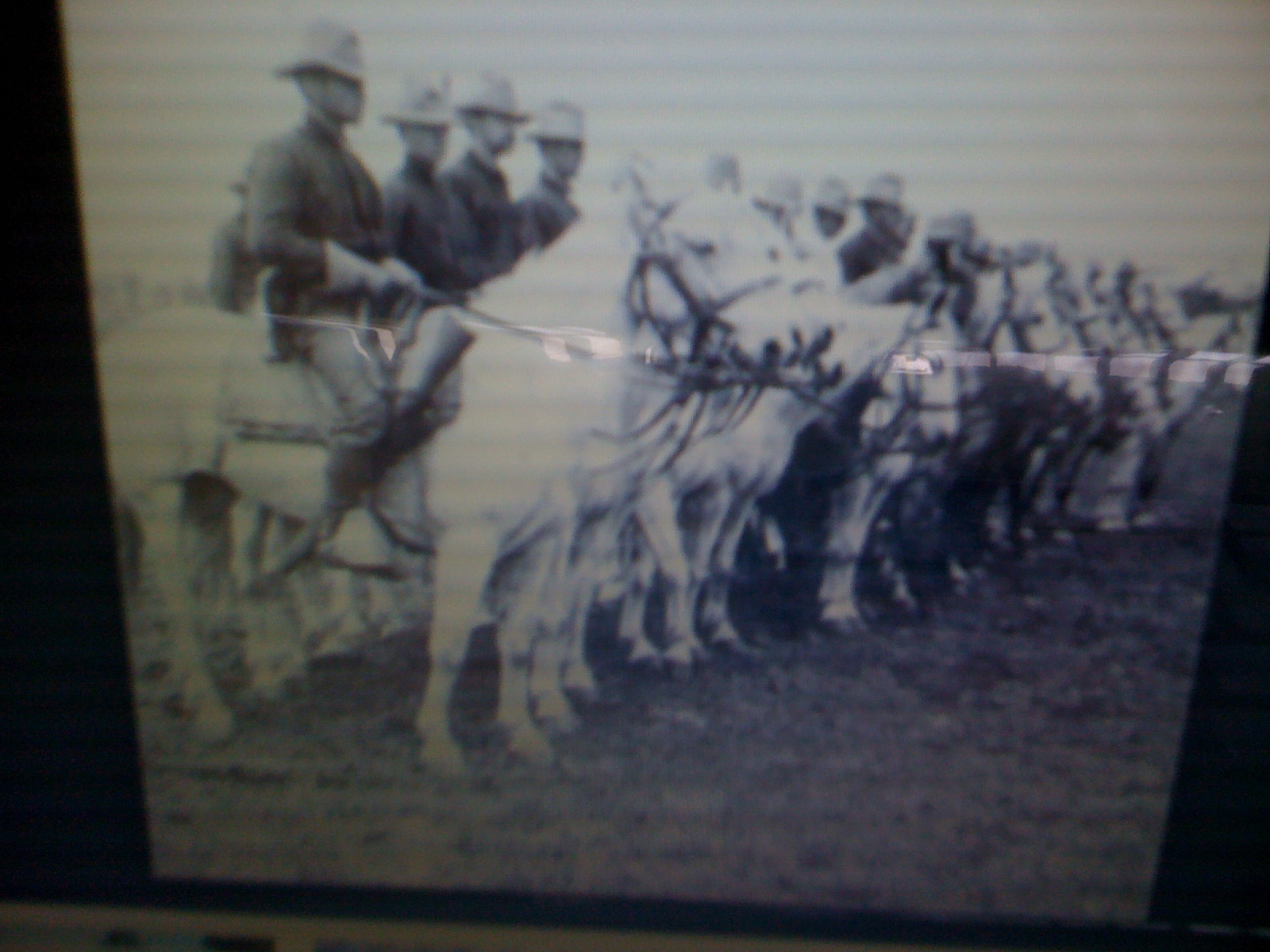 THE BLACK SOCIAL HISTORY:: BLACK SOCIAL HISTORY : AFRICAN AMERICAN ...