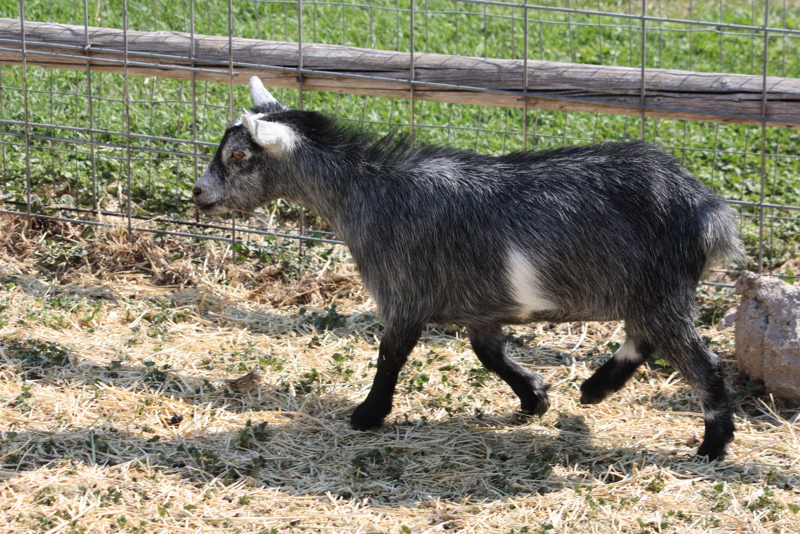 Mosey On Over: FOR SALE!!