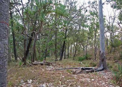 BunyipCo: October 2012