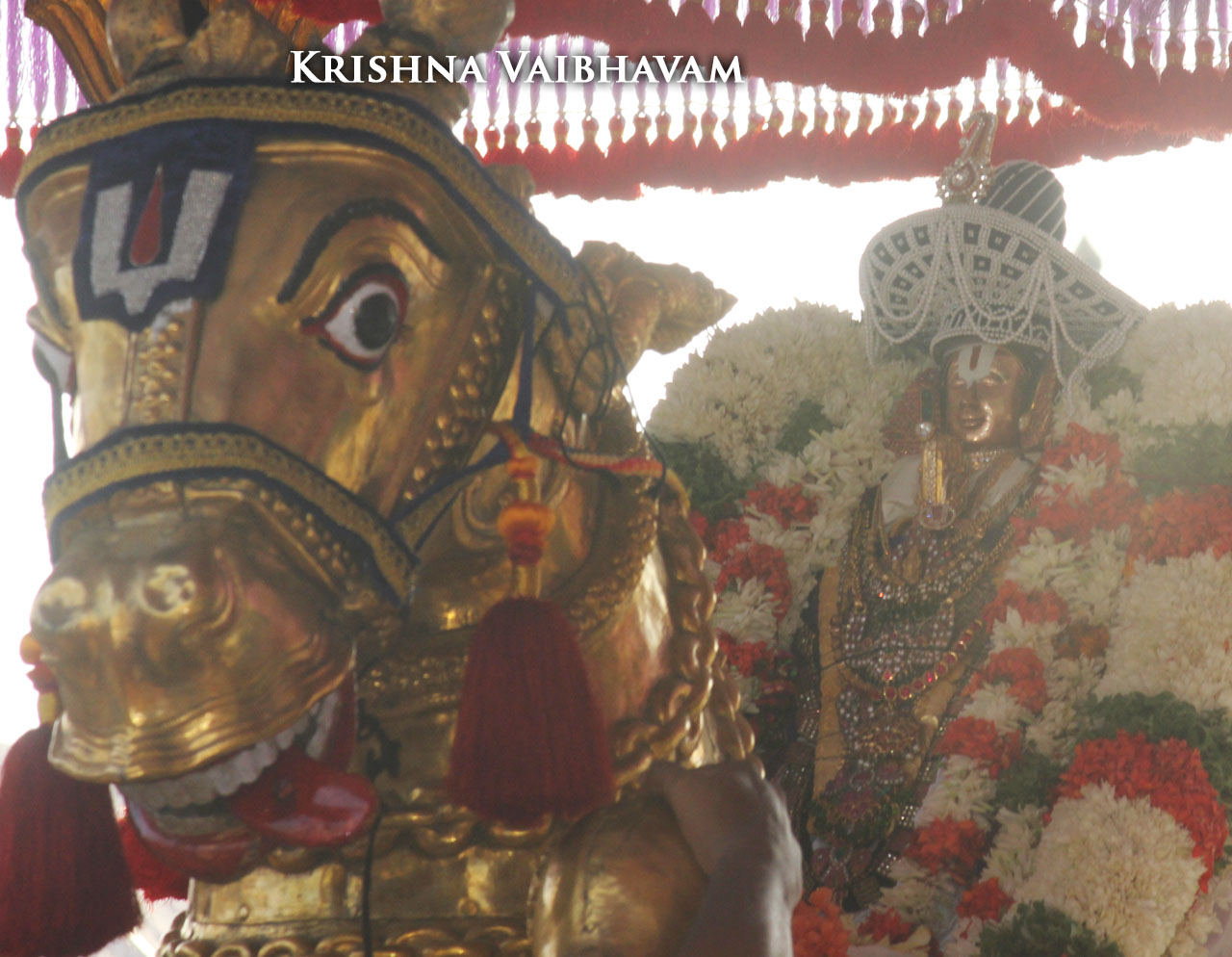 Krishna Vaibhavam: 06 Kuthirai Vahanam - Vellai Sattupadi Udaiyavar ...