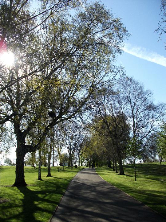 Vinnyman's Birding and Nature Blog.: Ward End Park.