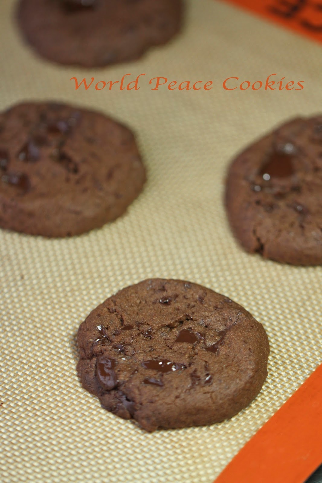 World Peace Cookies - Tuesdays with Dorie - Ever Open Sauce