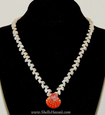 Kahelelani & Sunrise shell jewelry by.... Janjira: Hawaiian shell jewelry