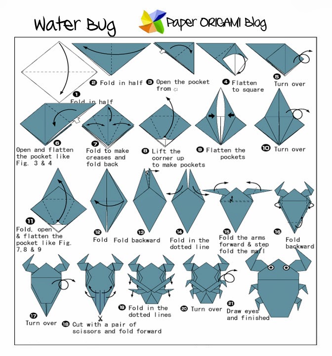 Bug Origami: Water Bug | Paper Origami Guide