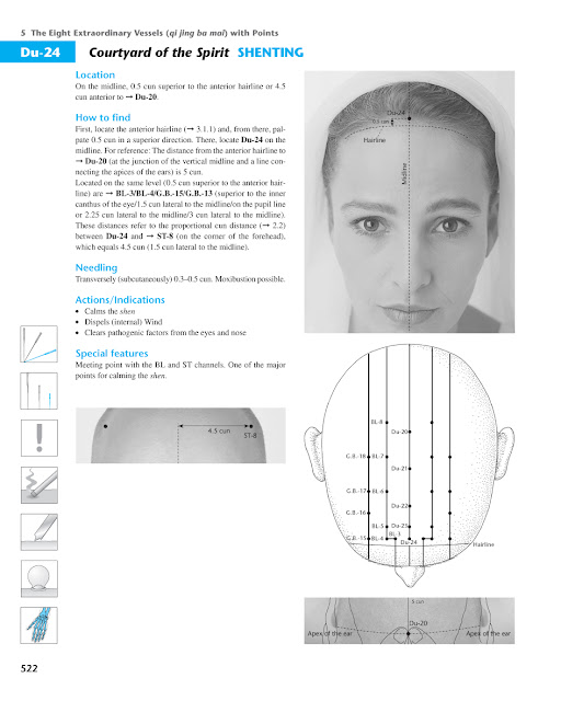 Acupuncture Masters: Acupuncture Points Database - Du Channel