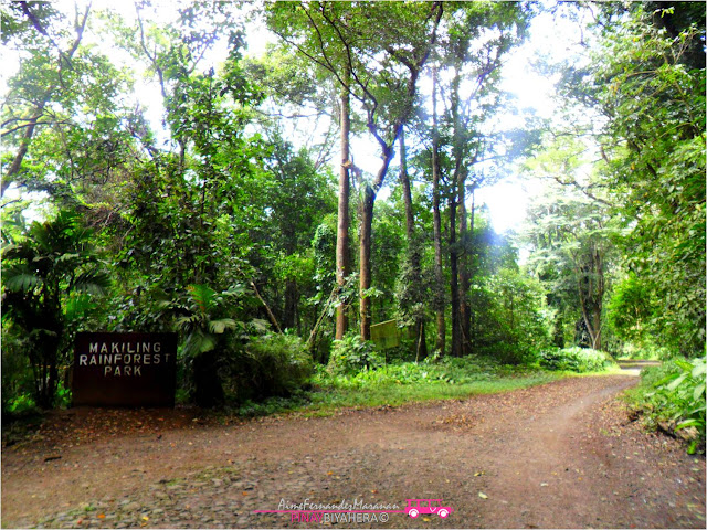 HikingBlahs#4: LAGUNA │ MT. MAKILING: Part 1, Long Yet Easy Trail ...