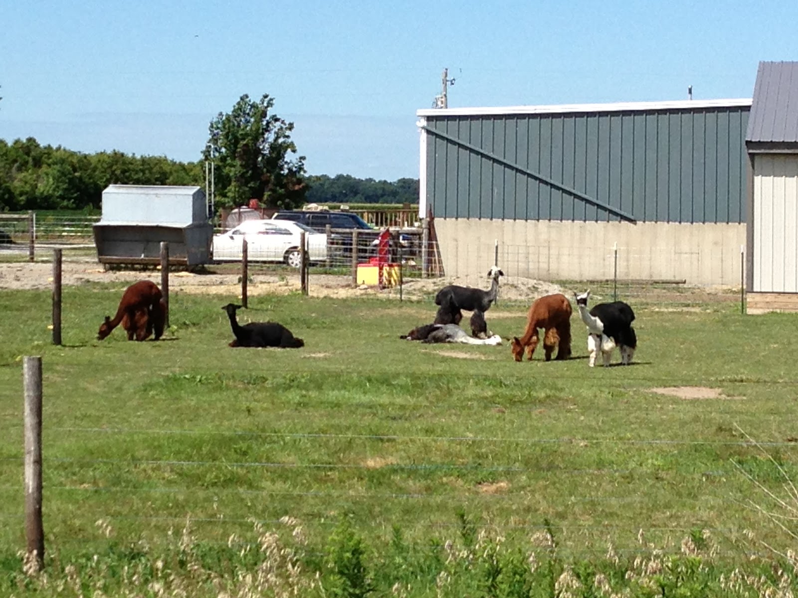 Hoosier Moves: COURTESY "REQUESTED" ON THE PANHANDLE PATHWAY