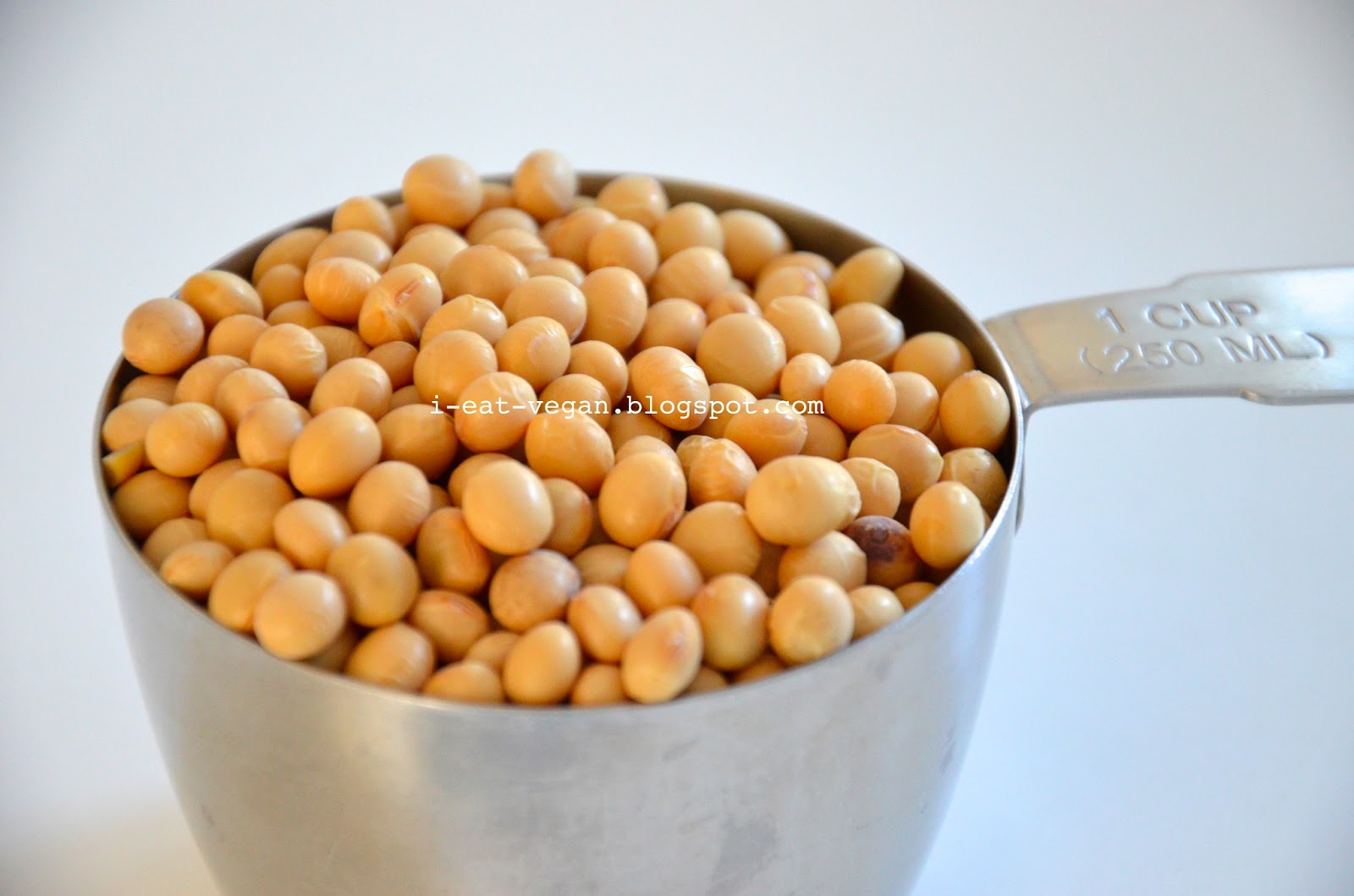 FRESH HOMEMADE SOY MILK