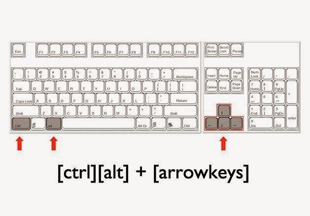 How to turn a computer screen upside down - mozpitch