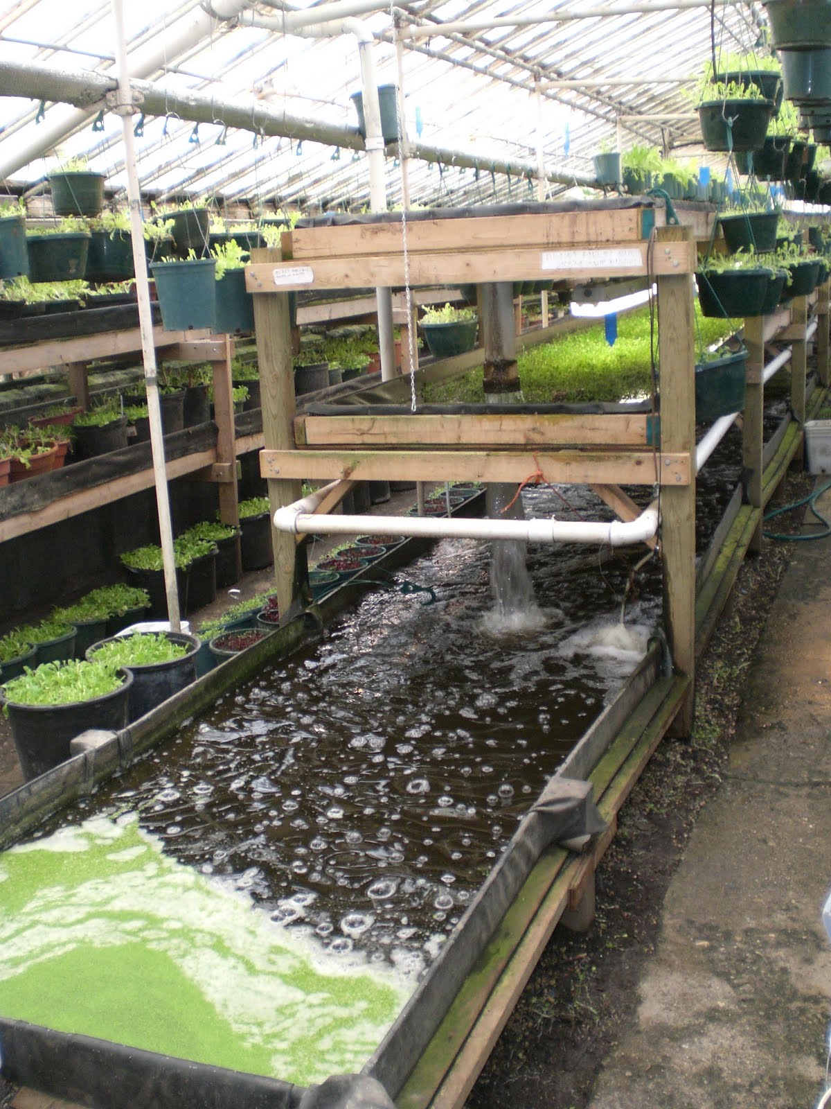 Full Circle Urban Farm: NEWS!