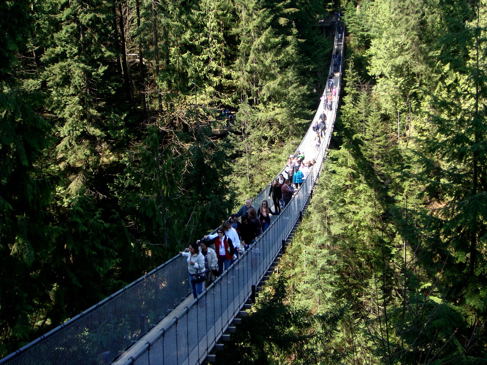 Photography in My Life: Capilano Suspension Bridge