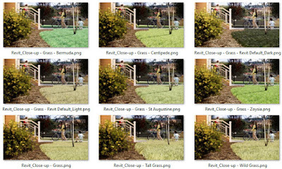 BIM Chapters: Enscape Blog Post: BEST PRACTICES: GRASS IN ARCHITECTURAL ...