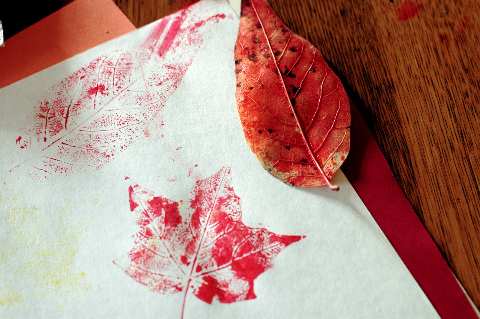 create (with kids): leaf printing - FreshlyPlanted