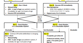 PALS Study Materials - Pediatric Pulseless Arrest Algorithm