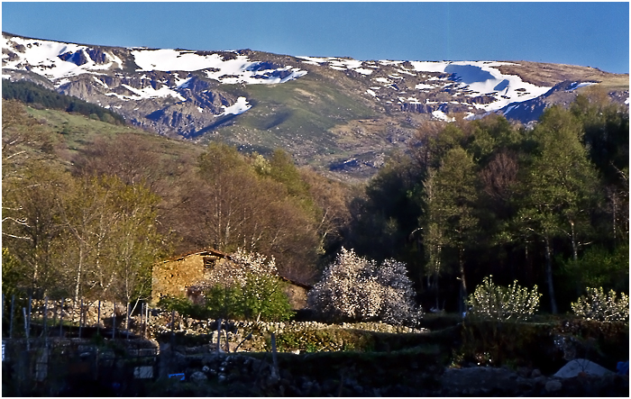 Naturaleza y Etnografía: Sierra de Béjar