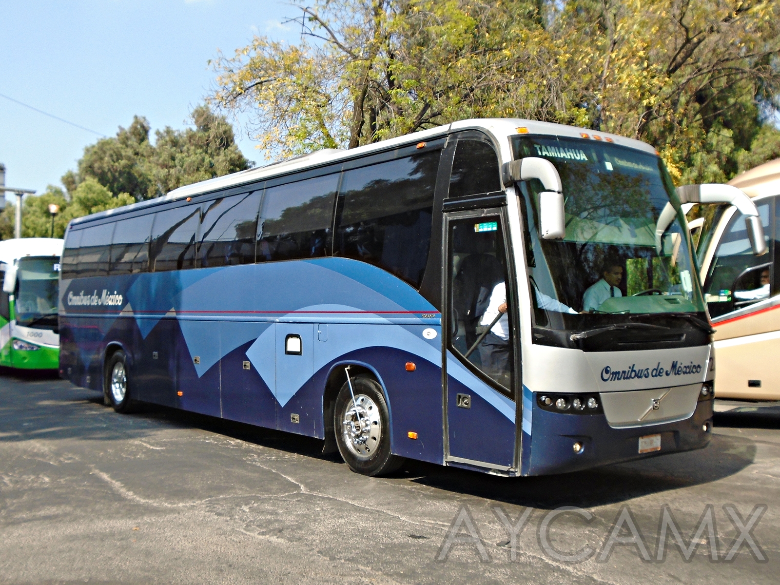 AYCAMX - Autobuses y Camiones México : Autobuses Foráneos 306. Ómnibus ...