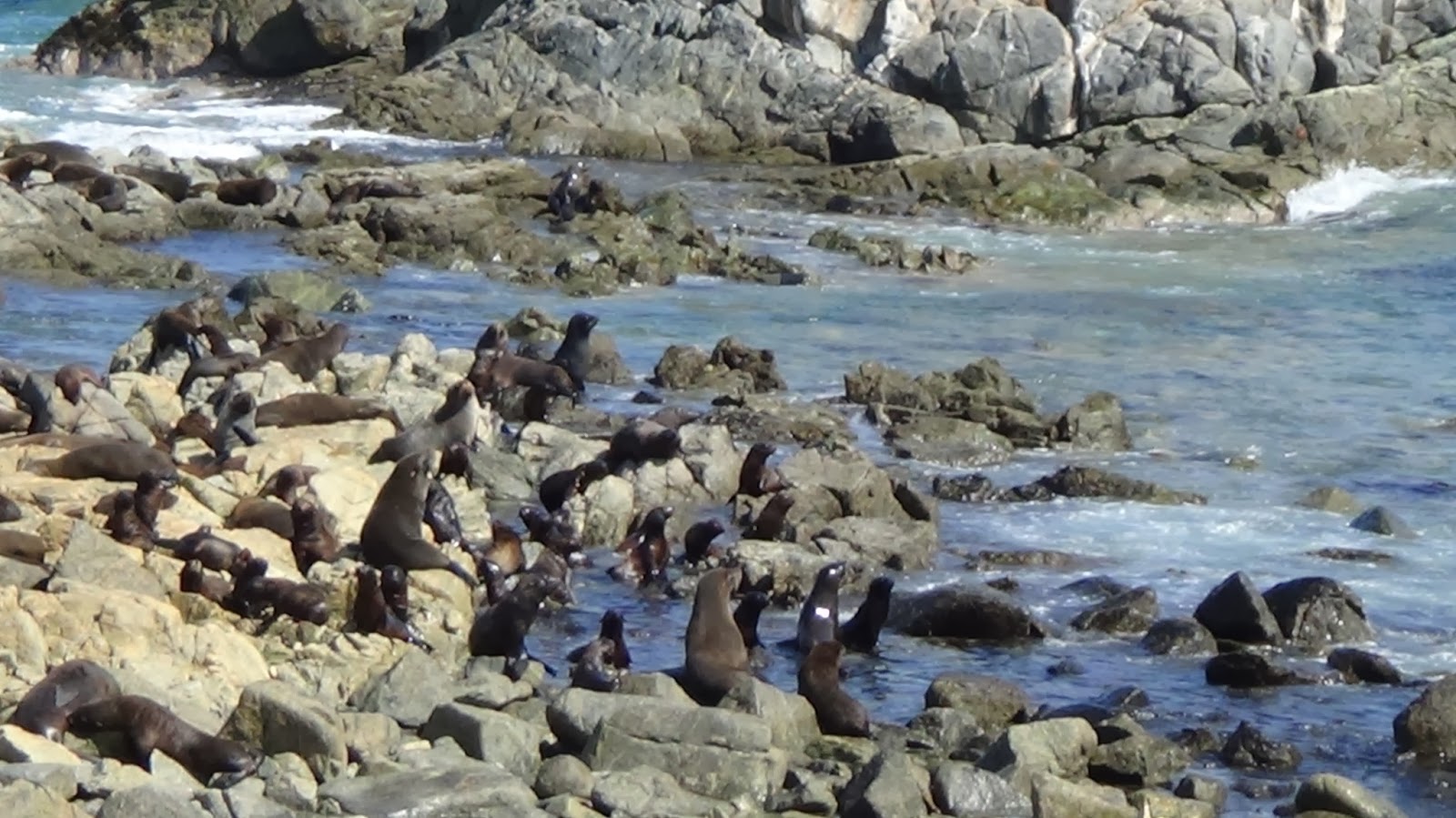 ATRACTIVOS TURÍSTICOS DE LA CIUDAD DE ILO