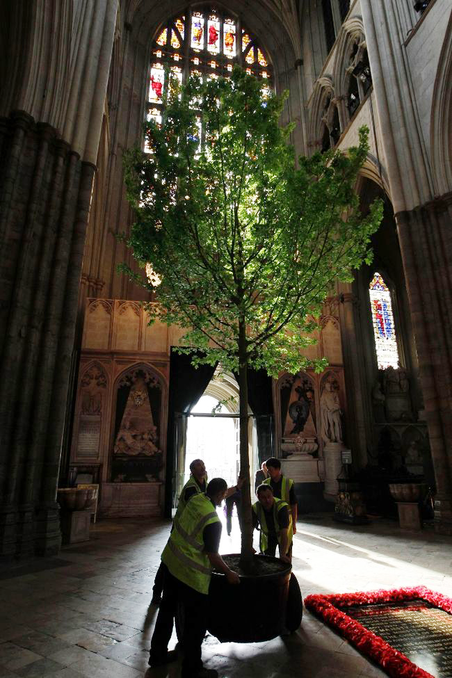 Trees For Church Wedding