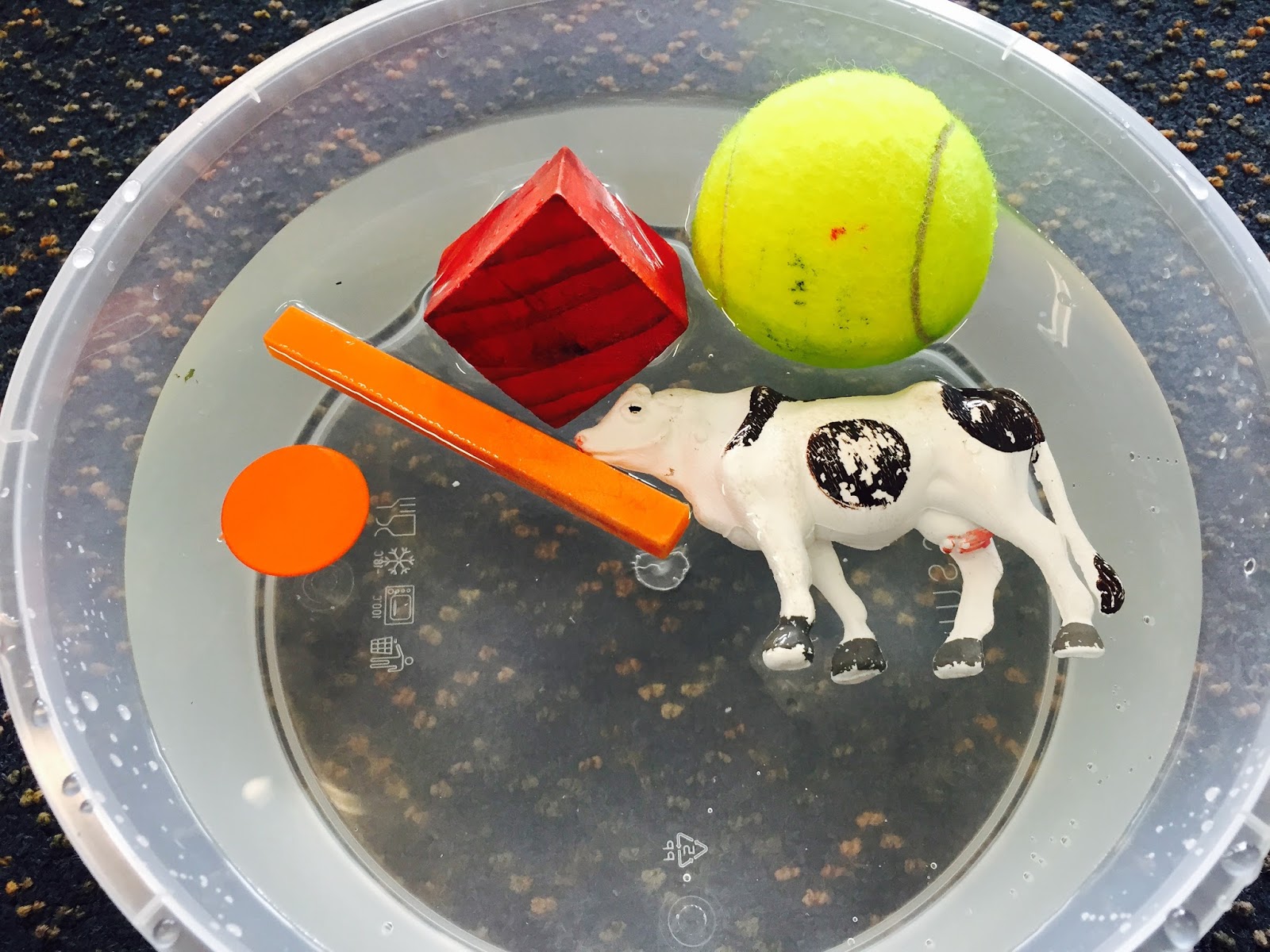 Room 5 2018 @ Ruapotaka School : What floats and what sinks?