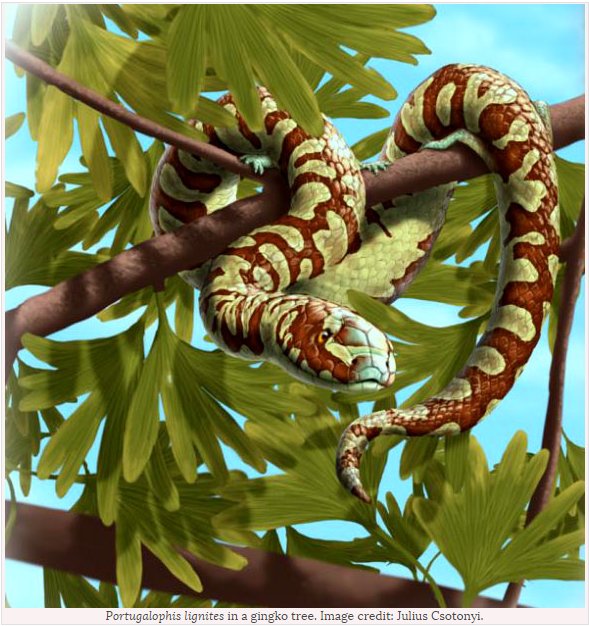 The Pondering Gulch: Et Tunc Nulla Erat V