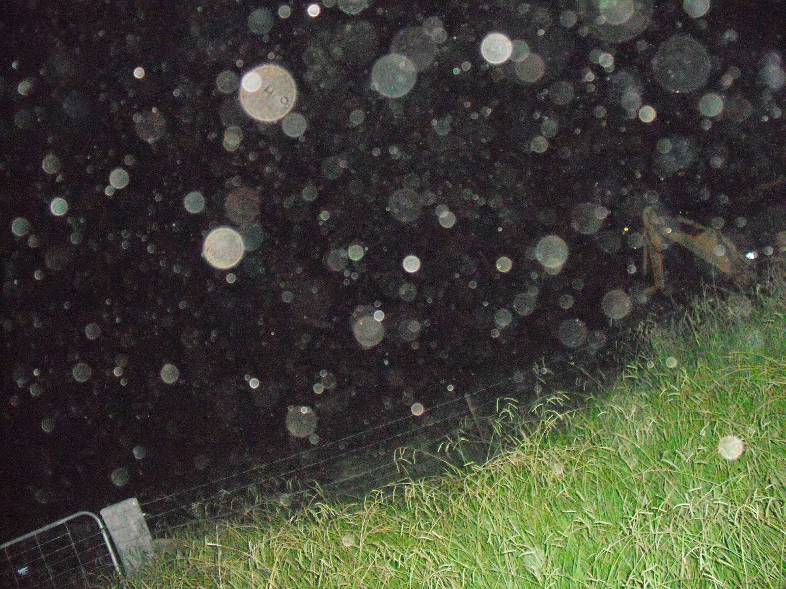 Mistérios Fantásticos: Orbs