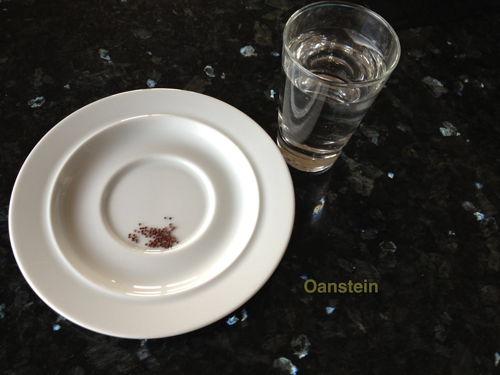 Oanstein: Anbau von Cystus - Zistrosen - Cistus incanus ssp. tauricus