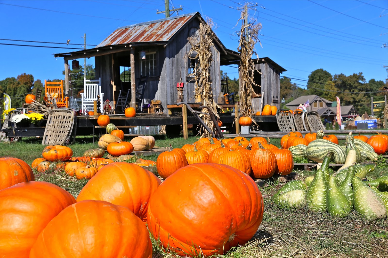 Sweet Southern Days: Fall in the Foothills Parkway, Pigeon Forge and ...