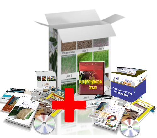 Formation en Fourrage vert Hydroponique Et conception des unites de ...