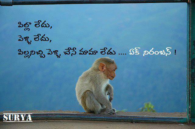 Funny Monkey Quotes. QuotesGram