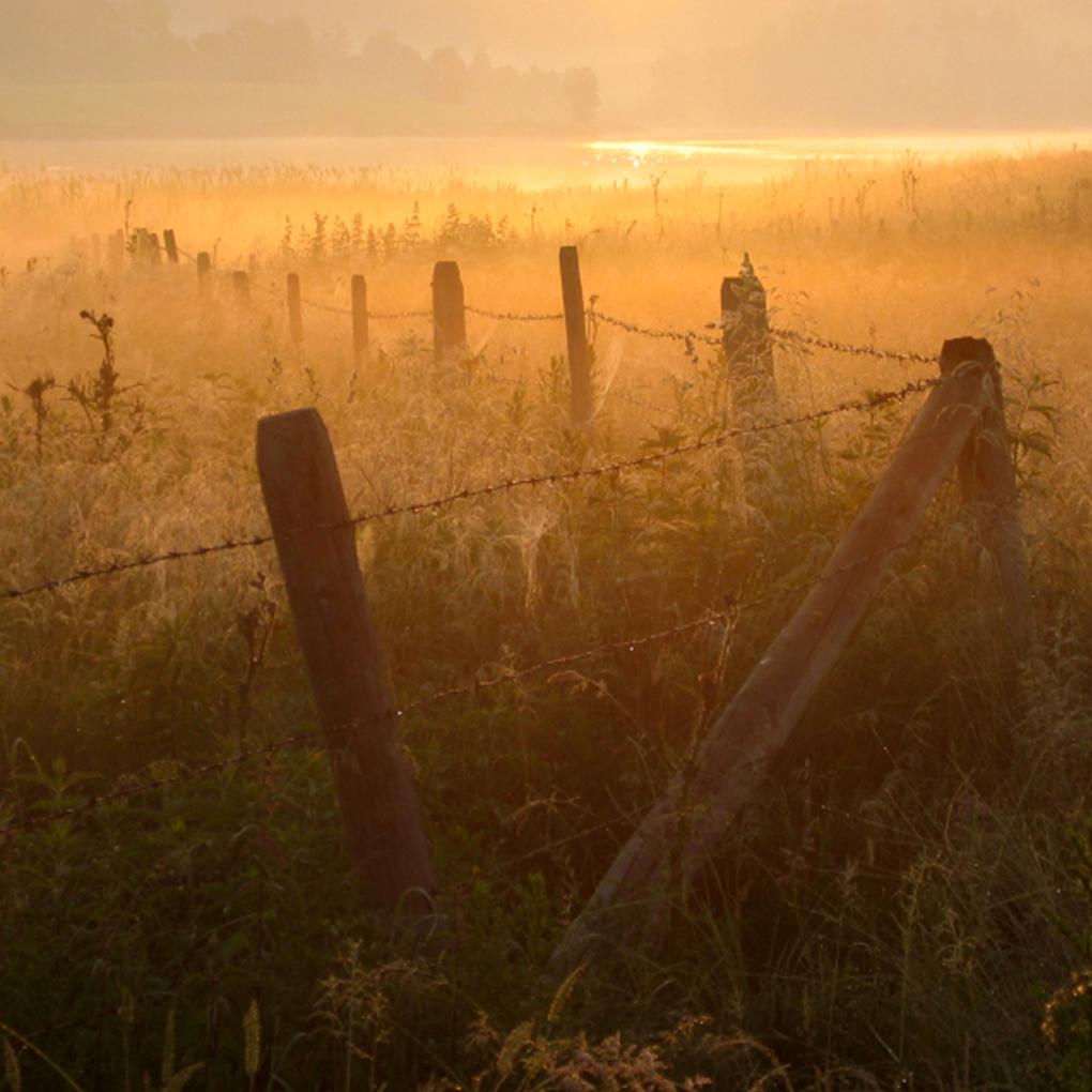 Epitome: Psalm 111 – The Beginning of Wisdom