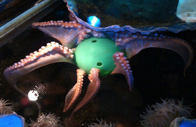 Exhibit Galleries Blog