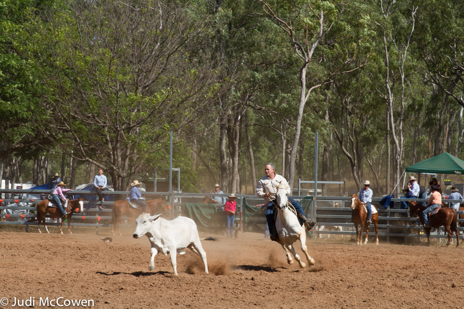 JUstDreamInparadise: Laura Campdraft, Races and Rodeo