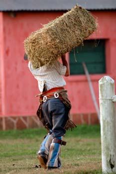 El GAUCHOGUACHO: Alambre e' fardo