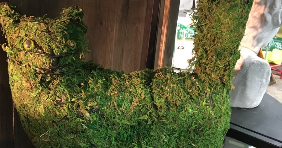 Cats in Gardens: Moss Cat