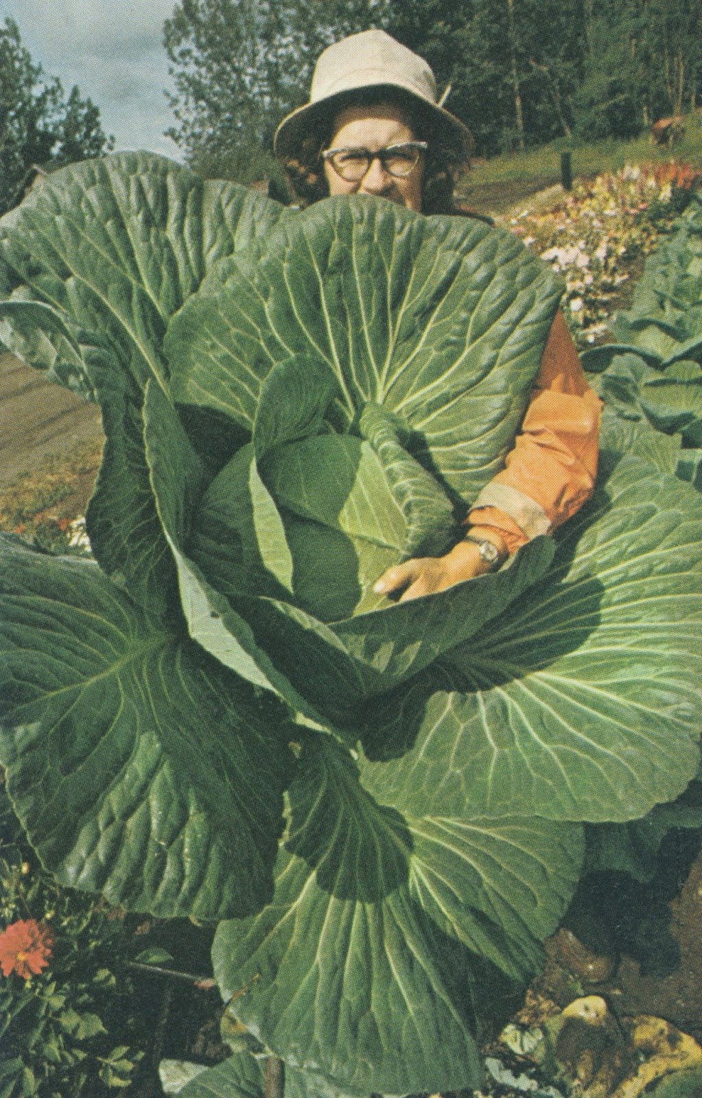 The Rural Blog Farming Booms In Alaska Census Of Agriculture Shows the-rural-blog-farming-booms-in-alaska-census-of-agriculture-shows