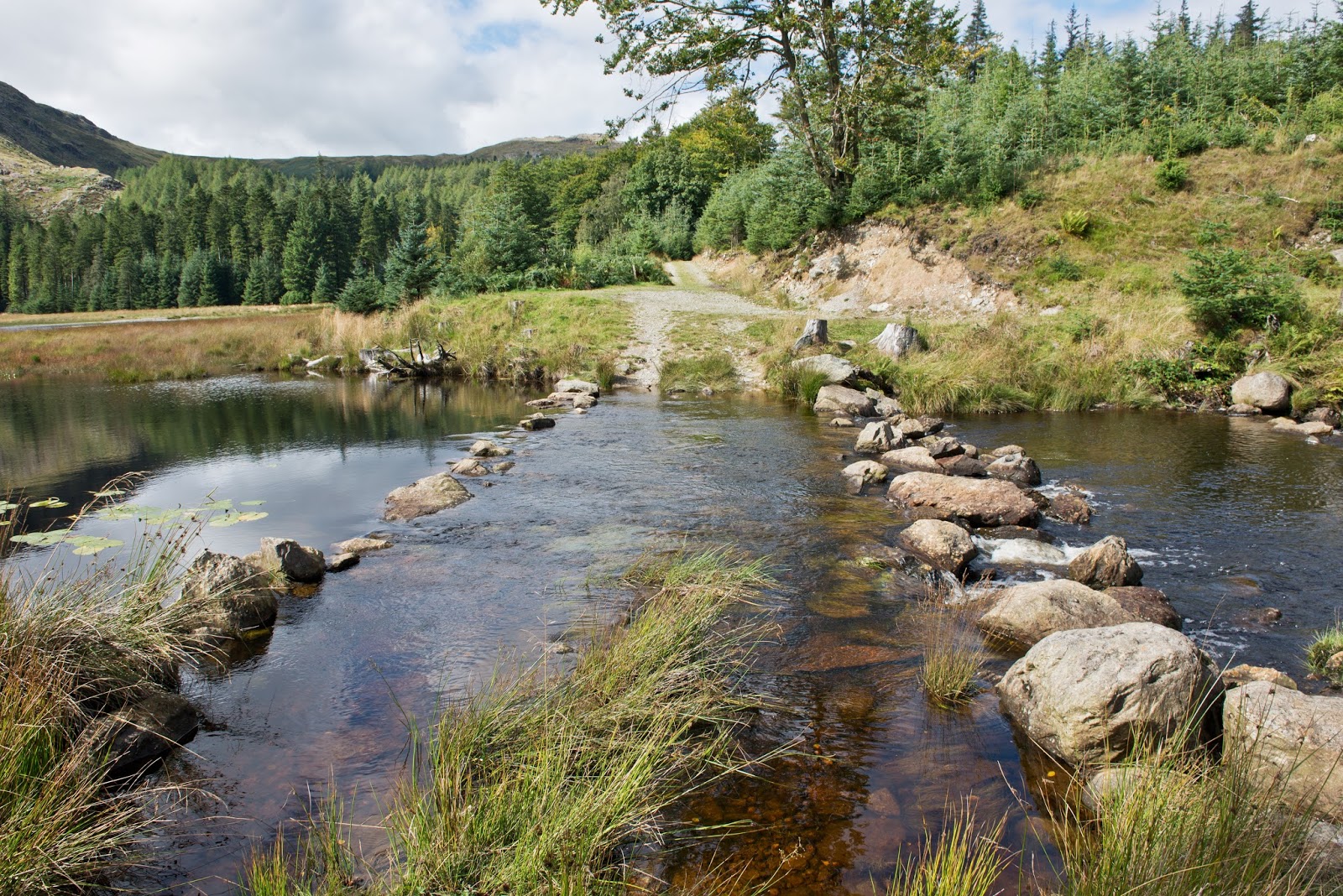 Wigtwizzle - Norman Smith's Travel Blog.: Harrop Tarn and Thirlmere