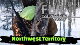 Mountain Mann Survival: Fur Harvesters NWT