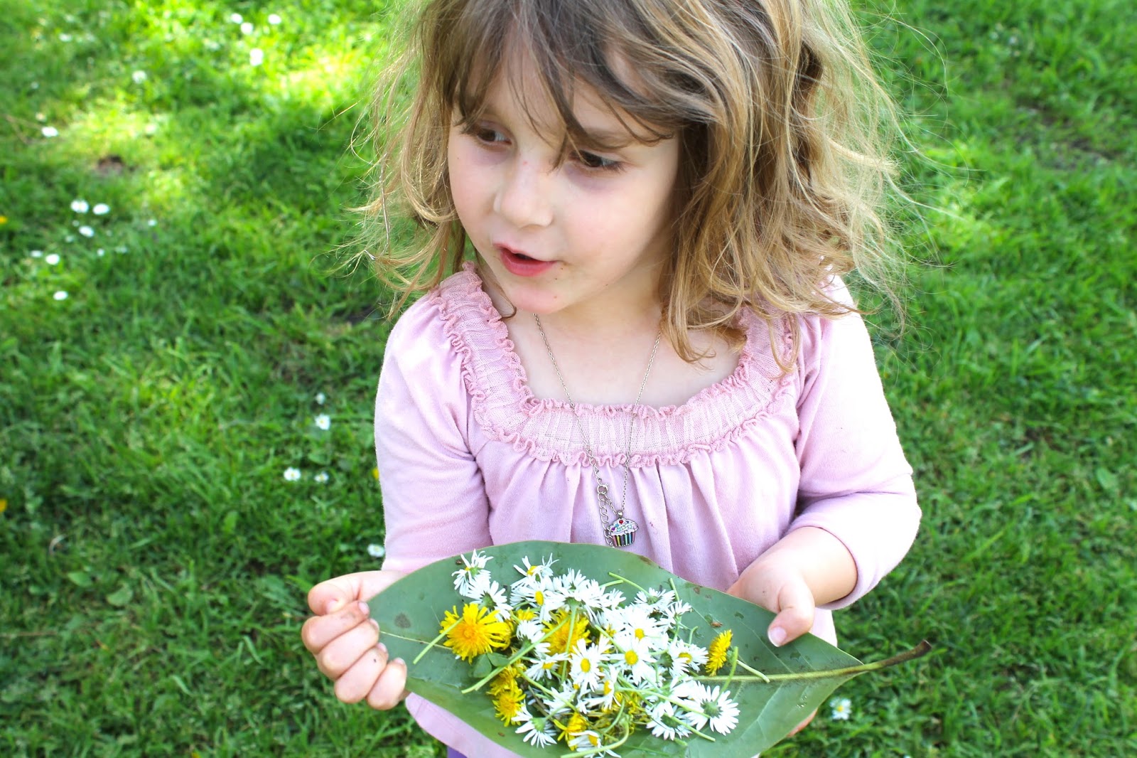 Purple Twig: Wishing Flowers
