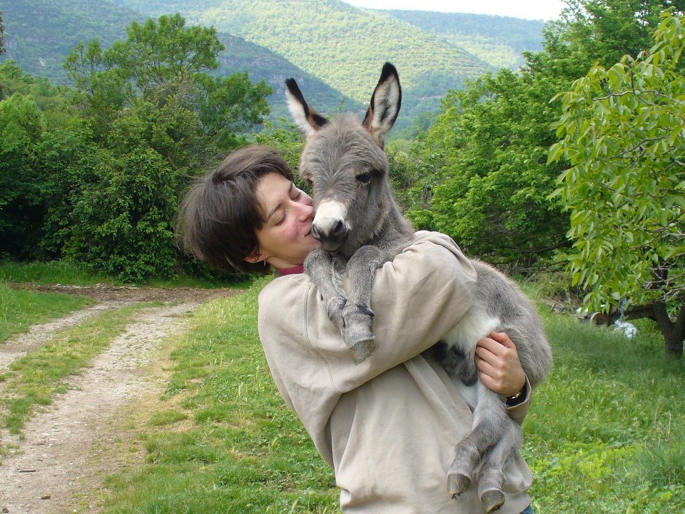 Geração Verde Portugal: Dia Internacional do Burro & Associação ...