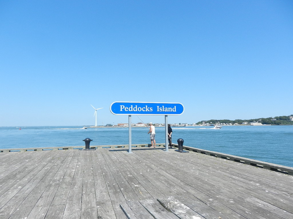 Guided Discovery: Hingham Adventures: Peddlocks Island