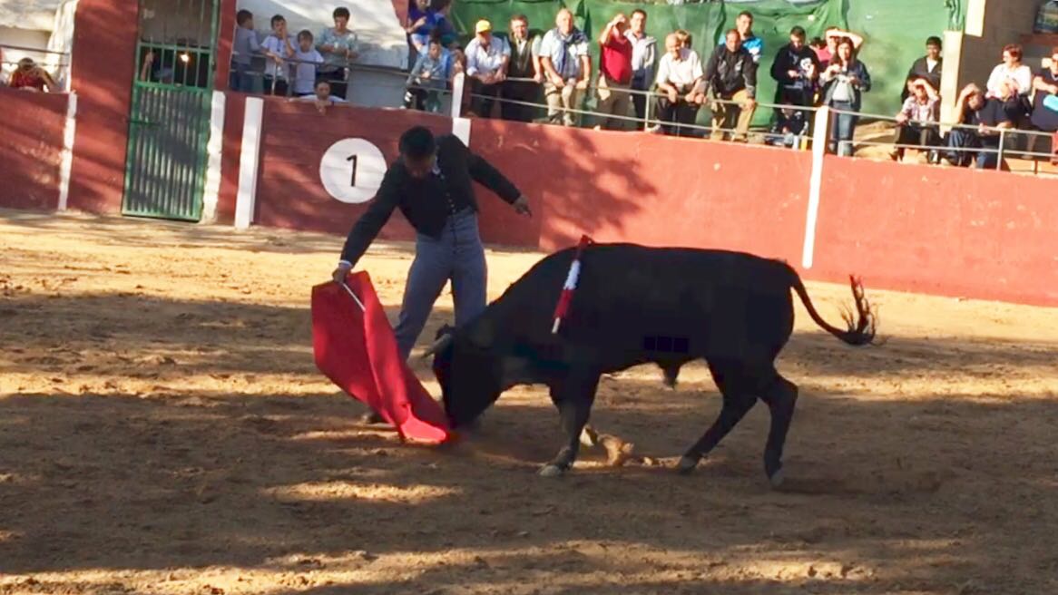 TORERIAS DE CHELIN: RESUMEN GRAFICO DEL FESTIVAL TAURINO DEL PERAL (cuenca)