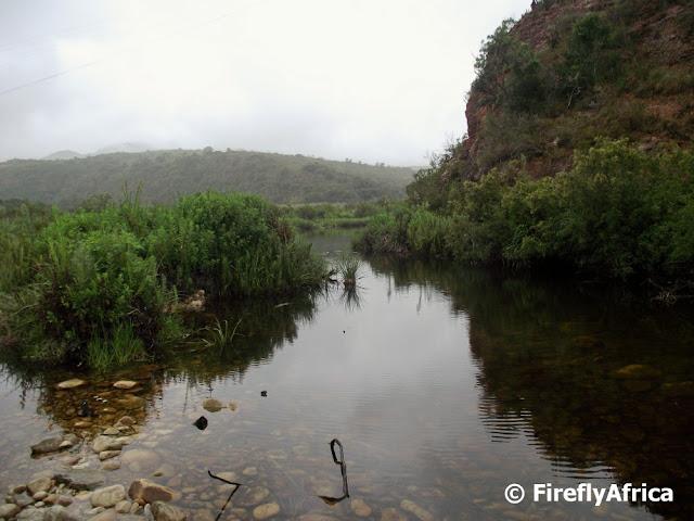 Port Elizabeth Daily Photo: Groendal - Upper Swartkops River