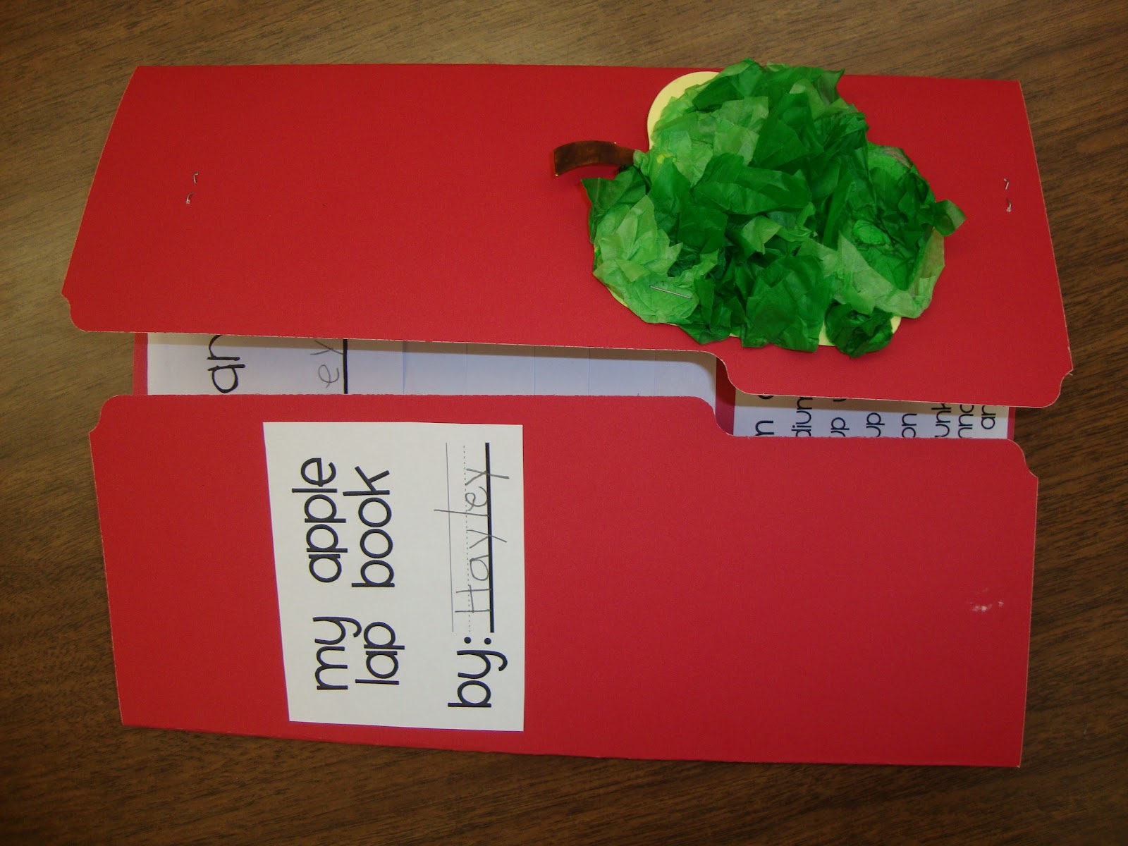 Today In First Grade: Apple Lap Books and Pictures